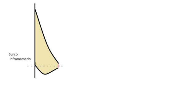 La elevación de pecho: elegir entre forma y cicatrices | Godoy Clinic